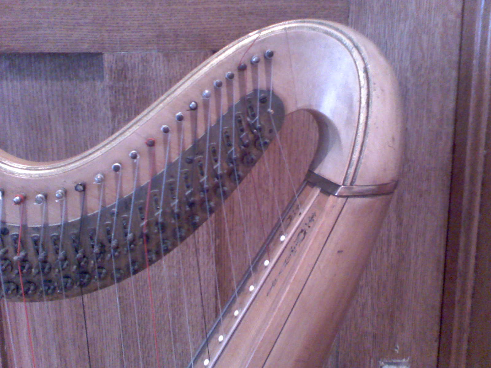 Harp Touch-Ups | Moss Harp Service