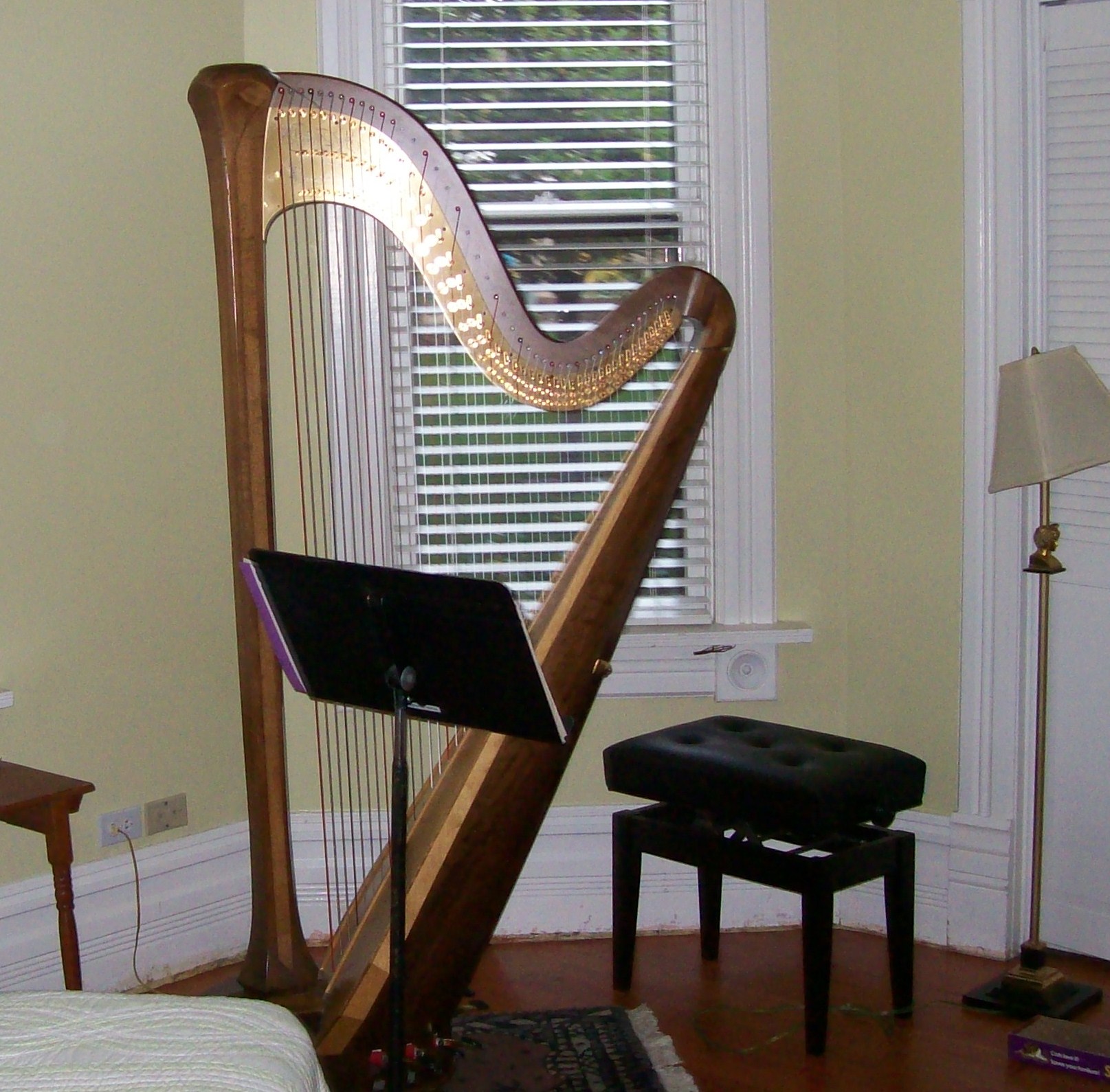 Used Harps: Can You Find a Good Buy? (Part 2 of 6) | Moss Harp Service