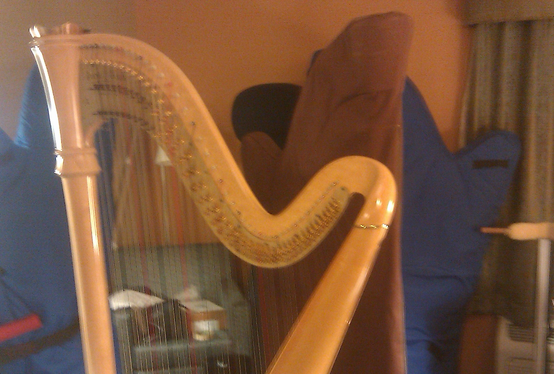 Used Harps: Can You Find a Good Buy? (Part 5 of 6) | Moss Harp Service
