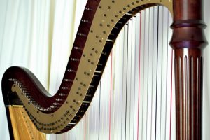 Moss Harp Service | Harp Regulation and Repair